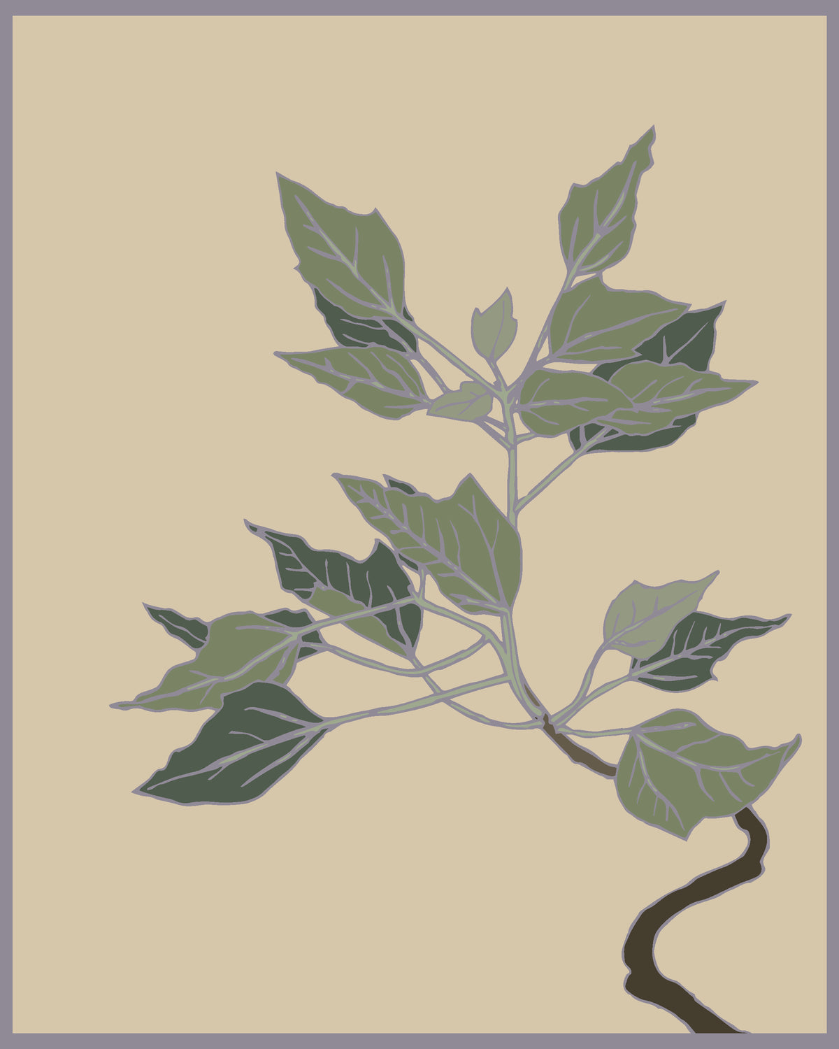 David Shepard - Assorted Art Prints | House of Mana Up