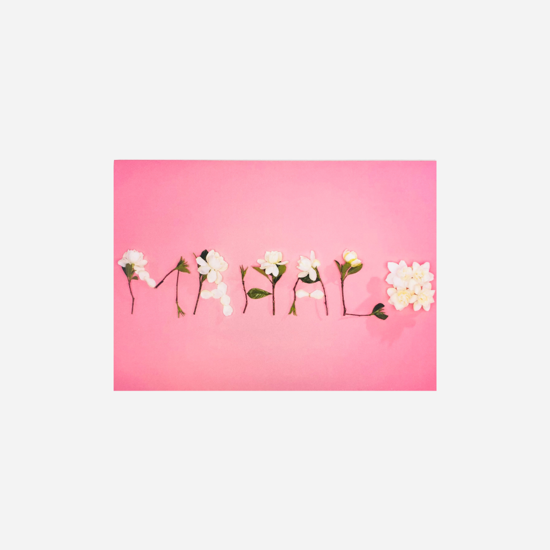Twitter Headers Pink Flowers